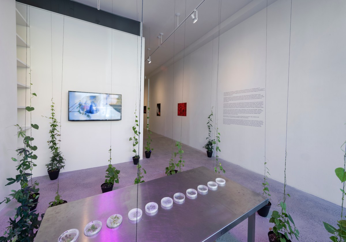Artists: Heather Dewey-Hagborg – FRIDMAN GALLERY