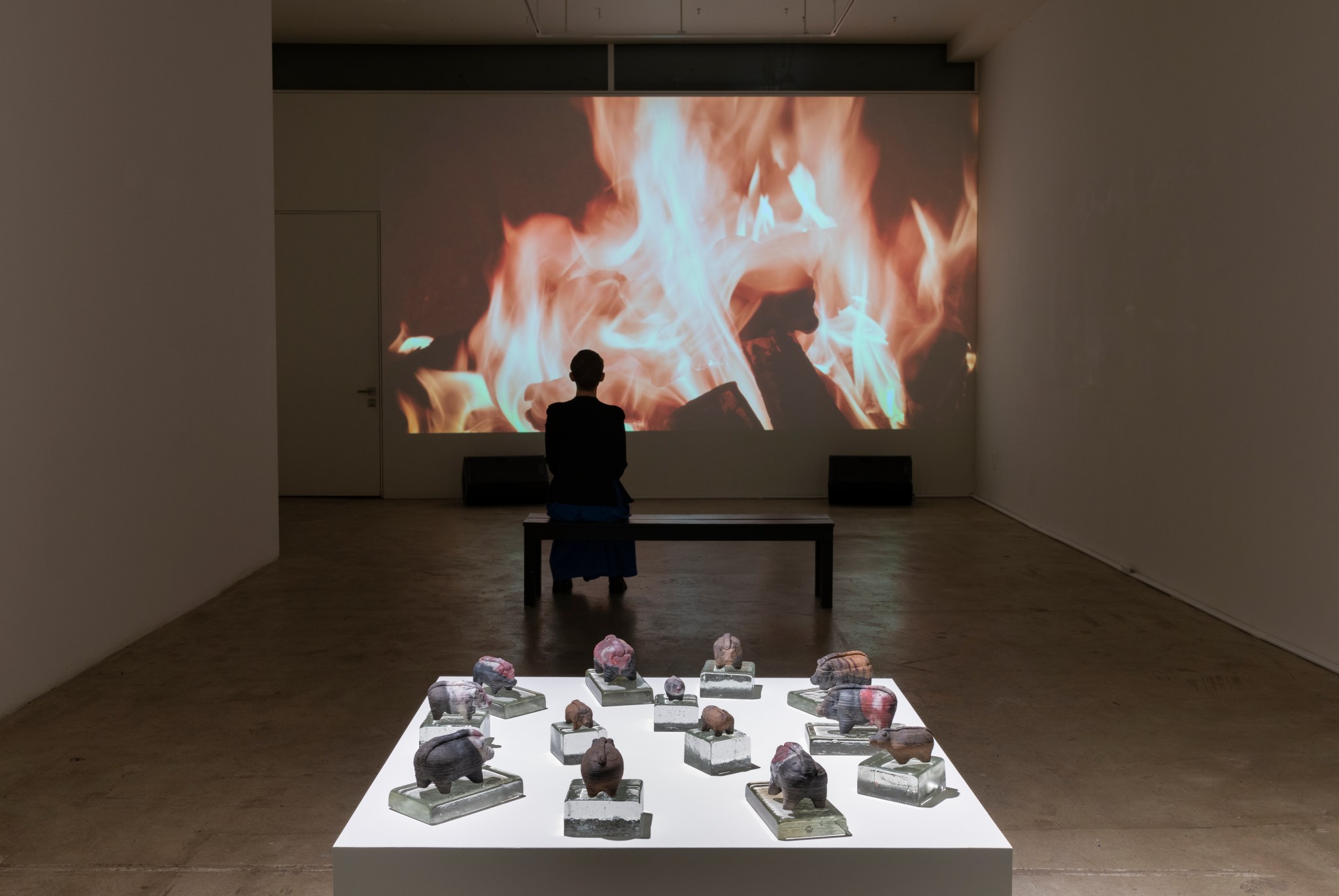 Artists: Heather Dewey-Hagborg – FRIDMAN GALLERY