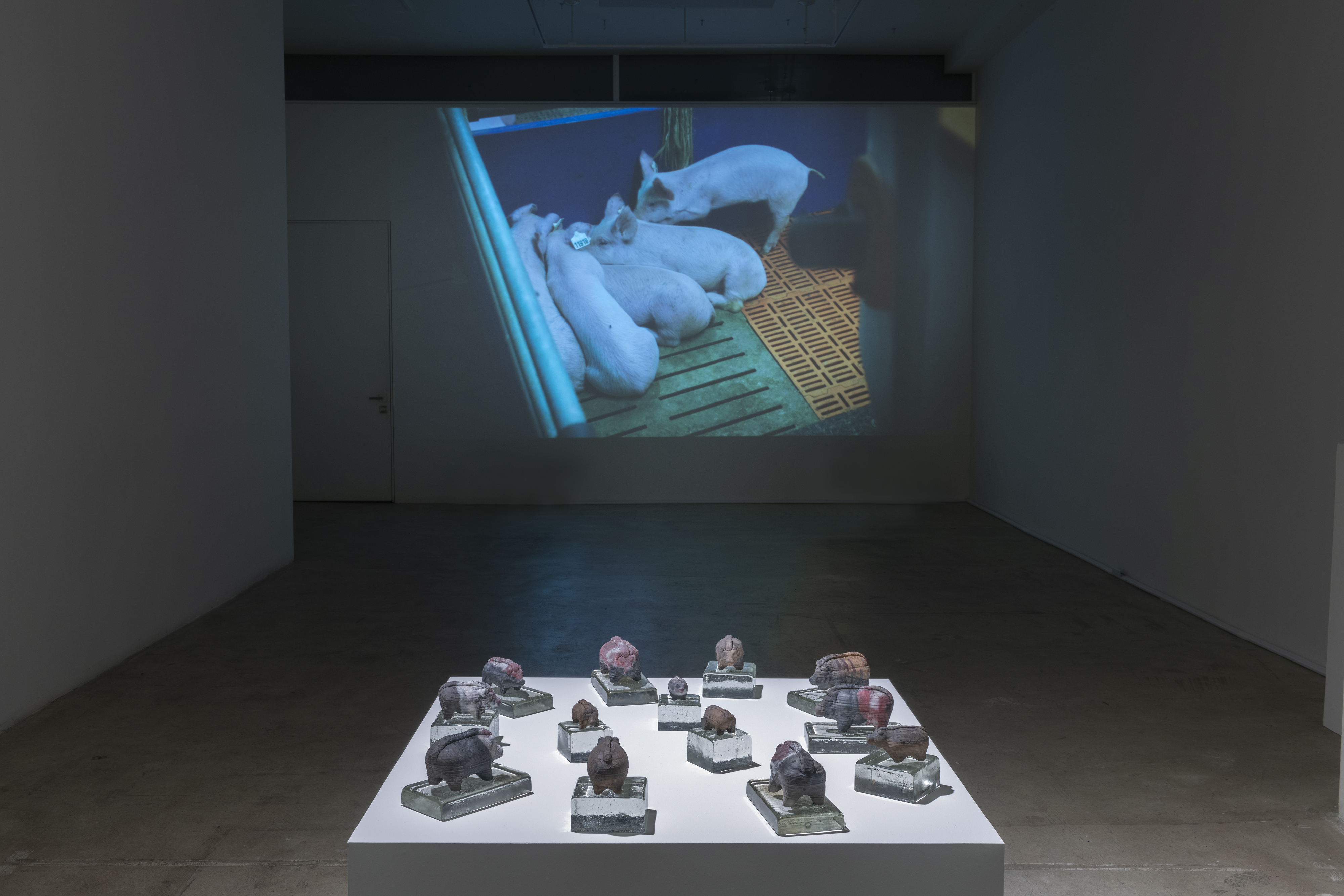 Exhibitions: Heather Dewey-Hagborg: an Interspecies Opera, 11/01-12/13 ...