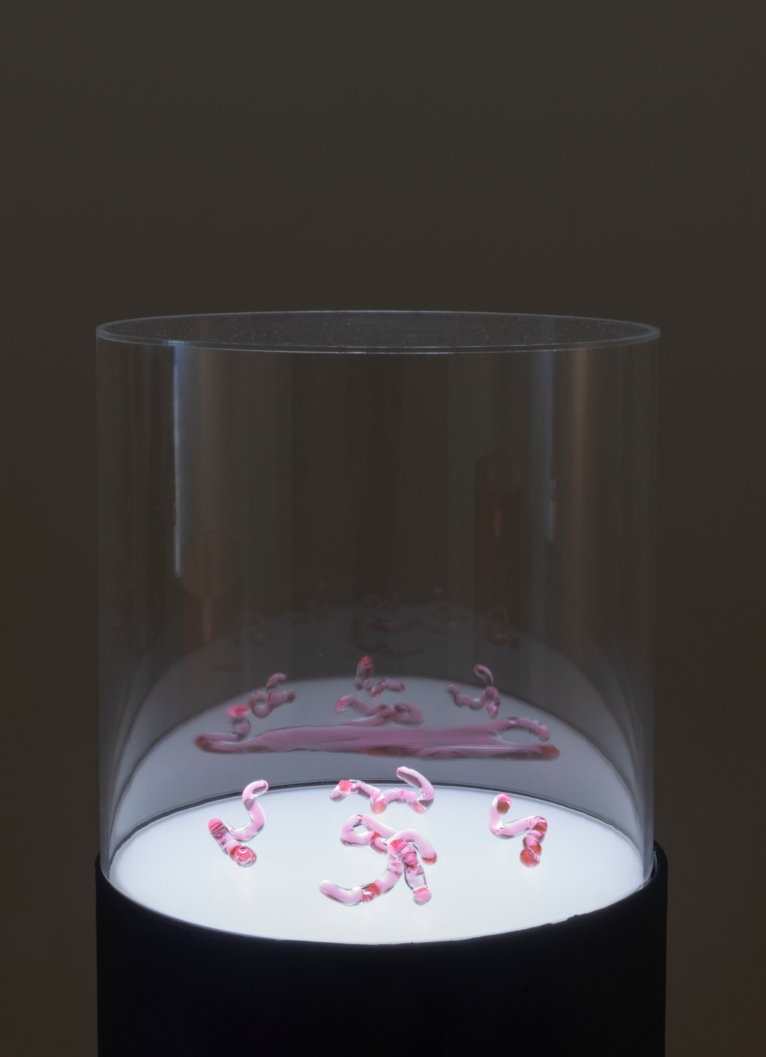 Artists: Heather Dewey-Hagborg – FRIDMAN GALLERY