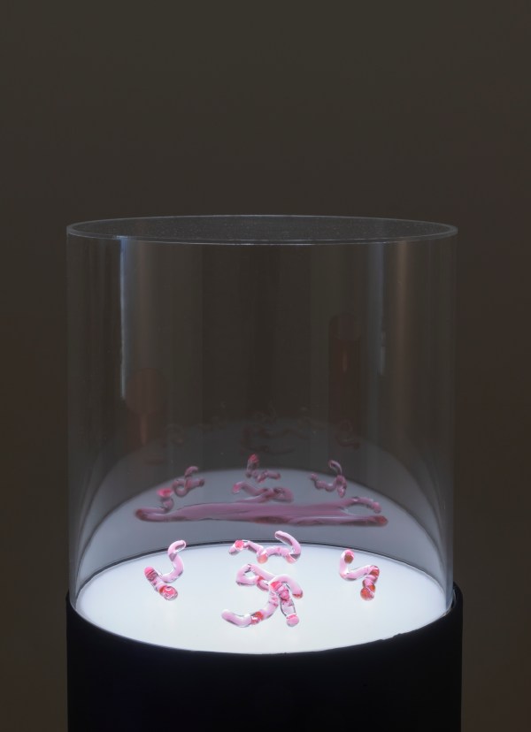 Artists: Heather Dewey-Hagborg – FRIDMAN GALLERY
