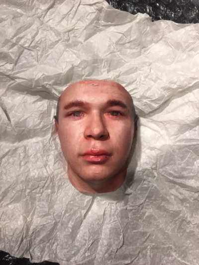Exhibitions: Heather Dewey-Hagborg: an Interspecies Opera, 11/01-12/13 ...
